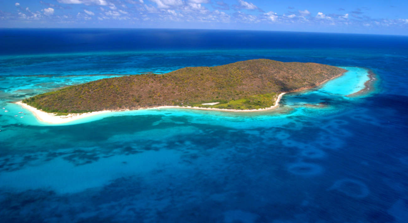 Learn about Buck Island St Croix | Big Beard's Adventure Tours